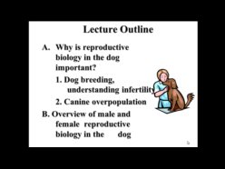 Dr. Cooke Lecture 2