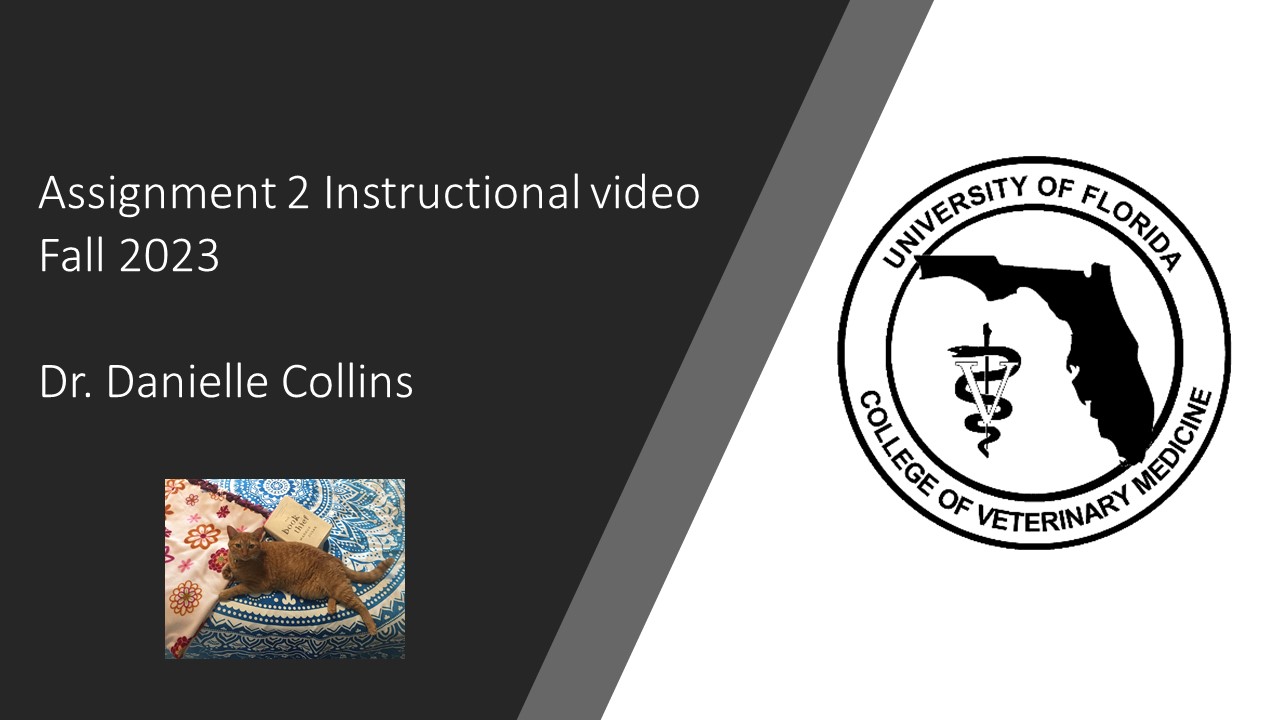 Assignment two Introduction talk, Fall 2023 Dr. Collins