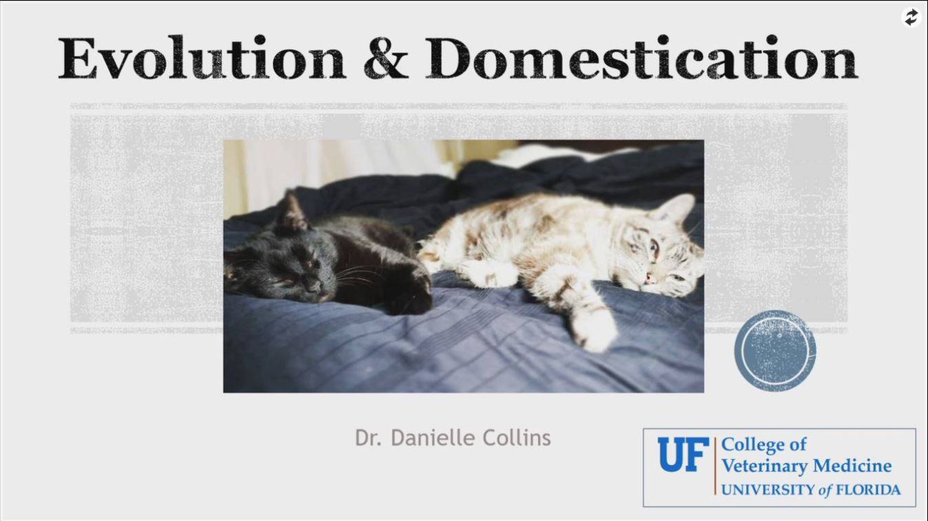 Dr. Collins_Evolution and Domestication Lecture
