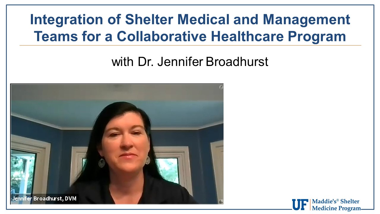 Module 1 - Vet Director Relationship - Dr. Broadhurst