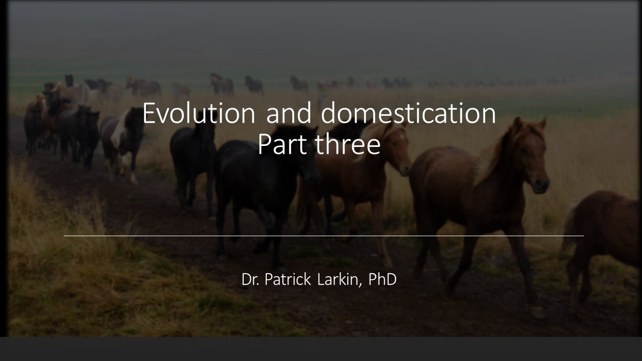 Evolution and domestication part three