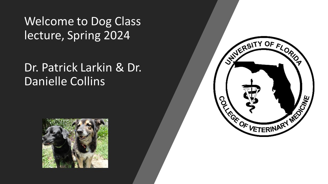Dog Class-Introduction lecture Spring 2024