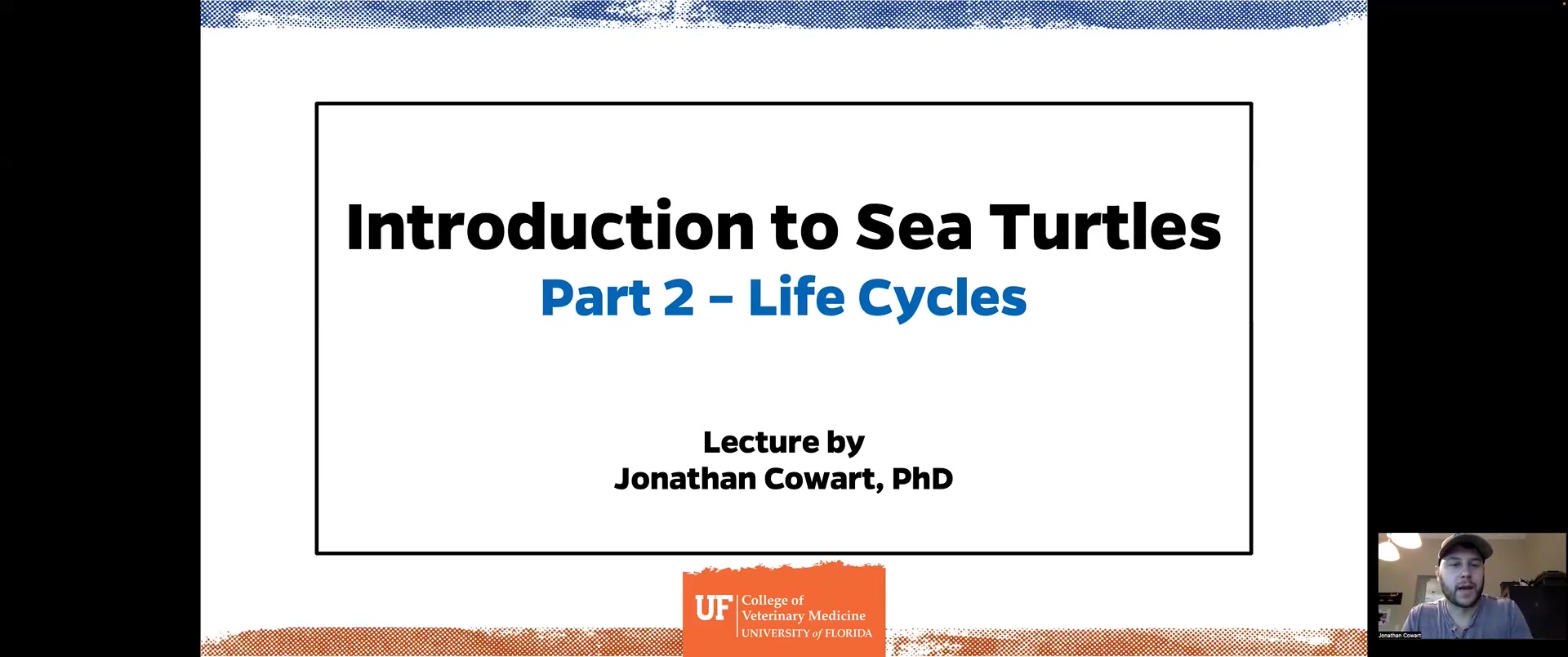 Introduction to Sea Turtles Part 2 - Life Cycles